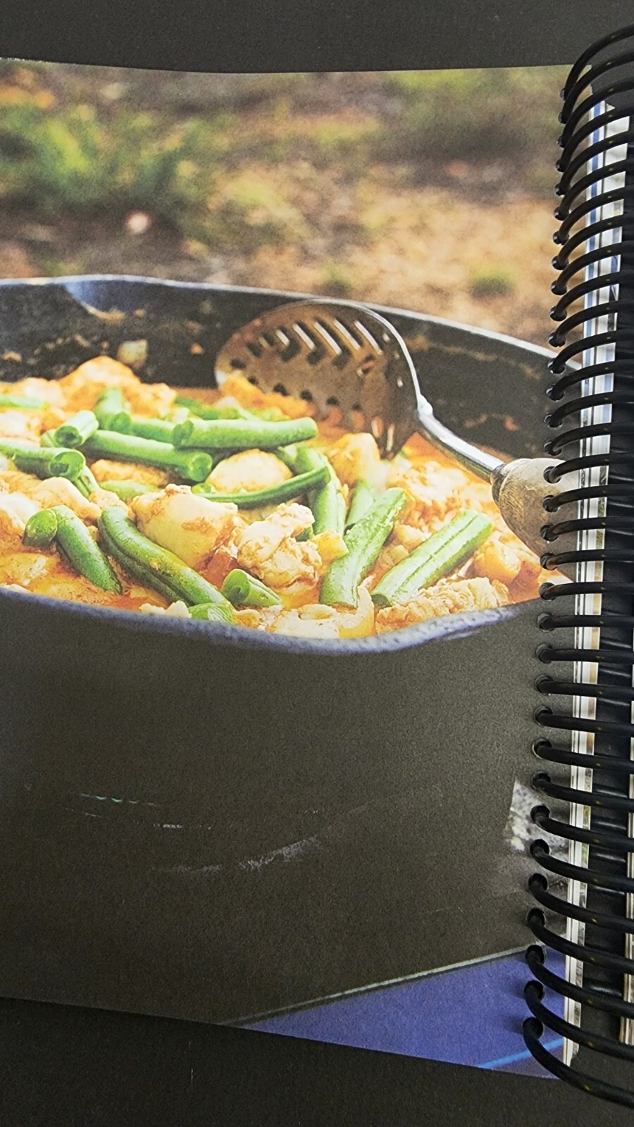 Australian Bush Cooking. Spiral by Cathy Lewis (Spiral Bound,) 2013. | eBay
