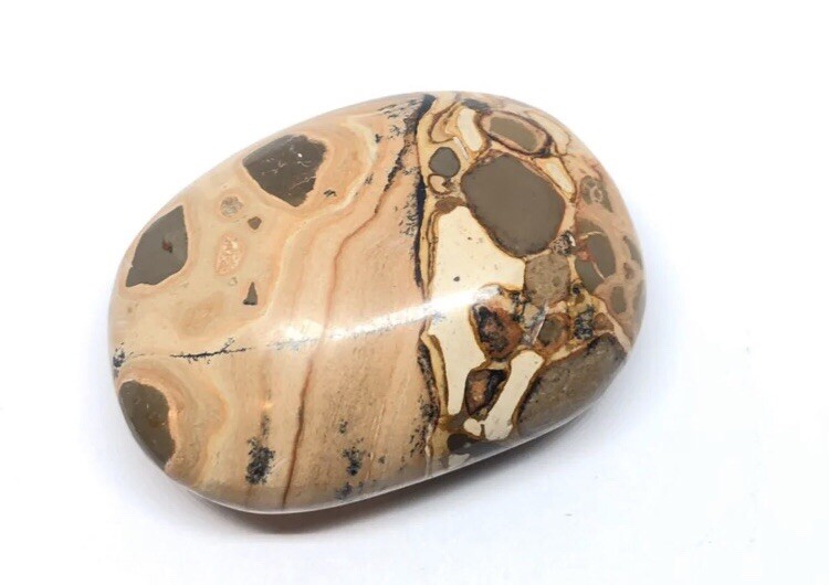 Gorgeous Leopardite Jasper Palm Stone From Peru 88g RARE LAST ONE | eBay