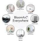 Bloom Air Freshener for Room, Combo Pack of 3, 100% Water Based, Room ...