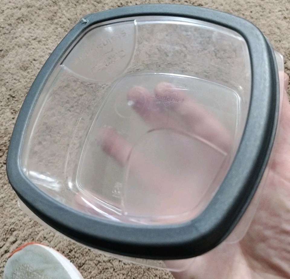 Rubbermaid Stain Shield 1.6Pt square Storage Container grey lid 3.2 ...