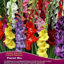 sultan_garden | eBay Australia Stores