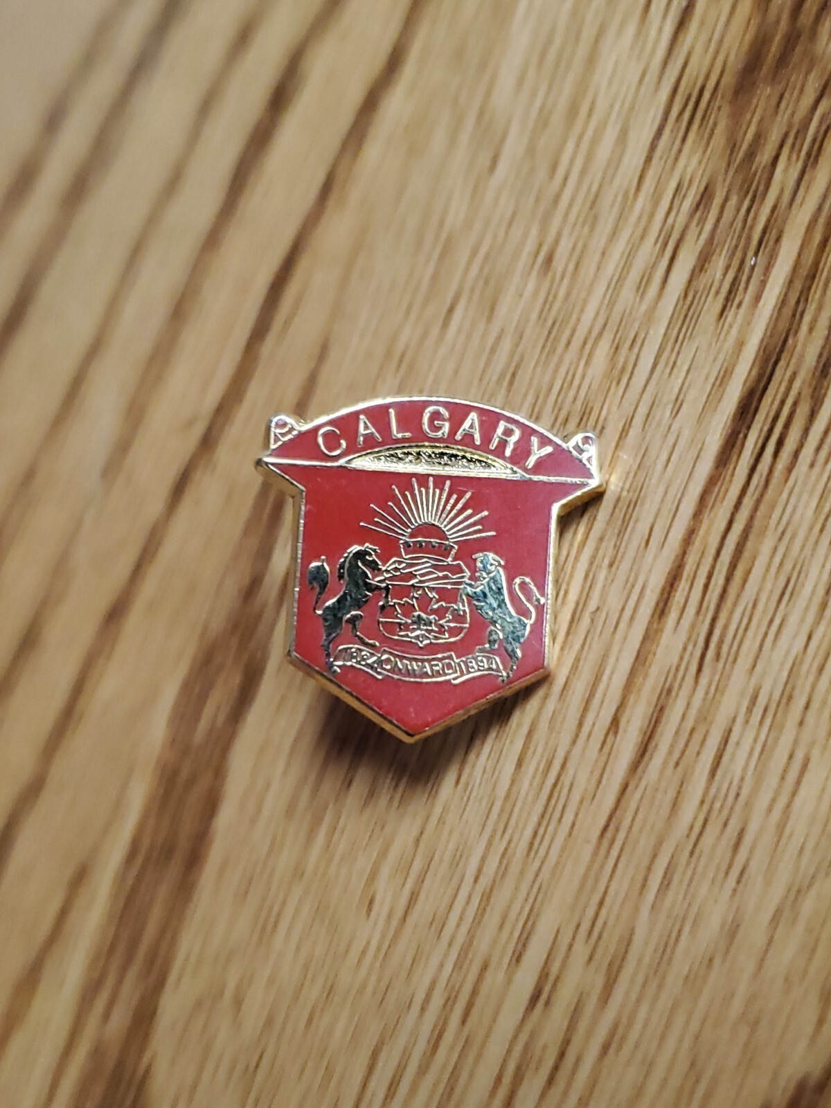 Vintage CALGARY Crest - Metal Enamel Lapel Pin Badge - Canada ia | eBay