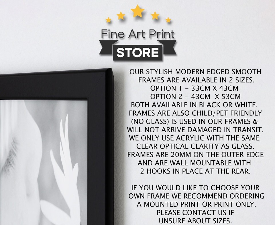 Stoke City Gifts, Framed Picture, Print, Bet 365 Stadium, Britannia ...