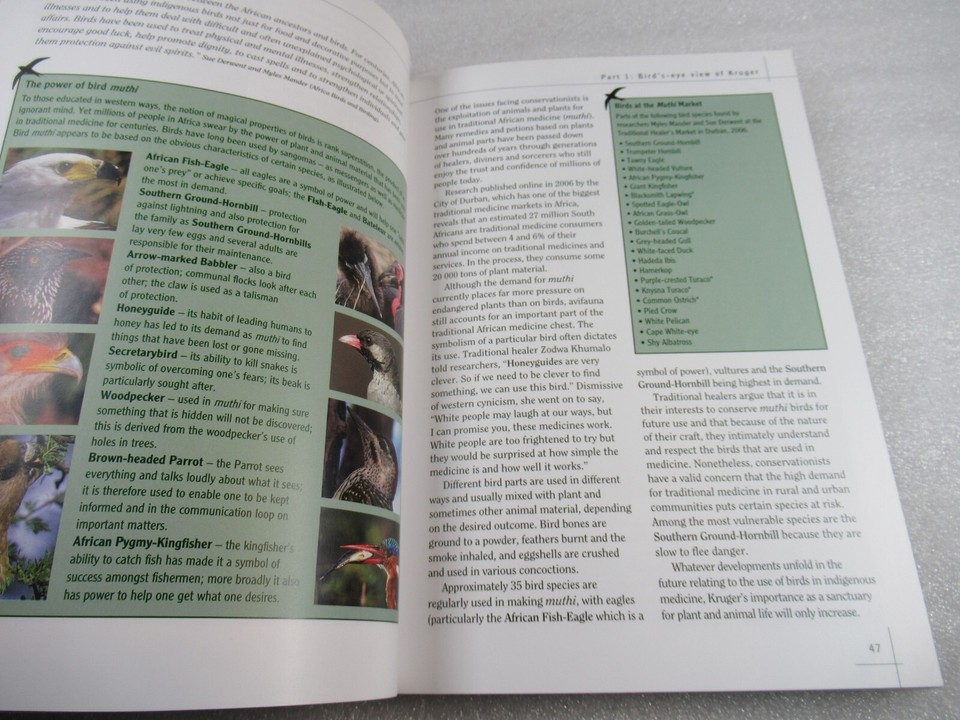 Prime Origins Guide to BEST BIRDING in KRUGER National Park South ...