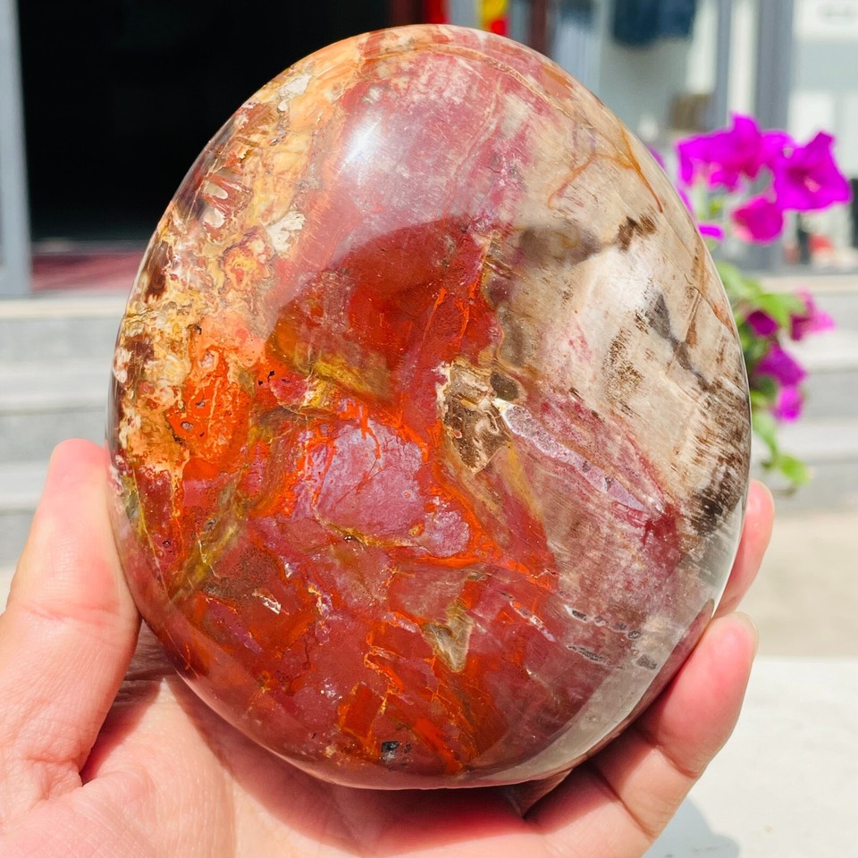 2.55LB Natural Red Petrified Wood Fossil Crystal Landscape Stone ...