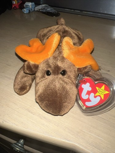 TY Beanie Baby Chocolate the Moose | eBay