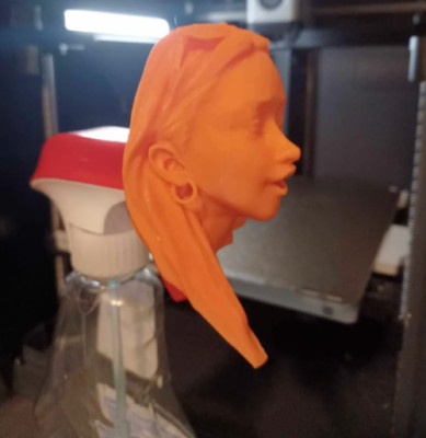 Hawk Tuah Spray Bottle Head Spit On That Thang girl Welch | eBay