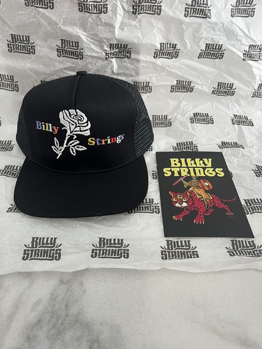 BILLY STRINGS 2024 SPRING TOUR EXCLUSIVE IMOGENE & WILLIE ROSE EMBROIDERED HAT | eBay