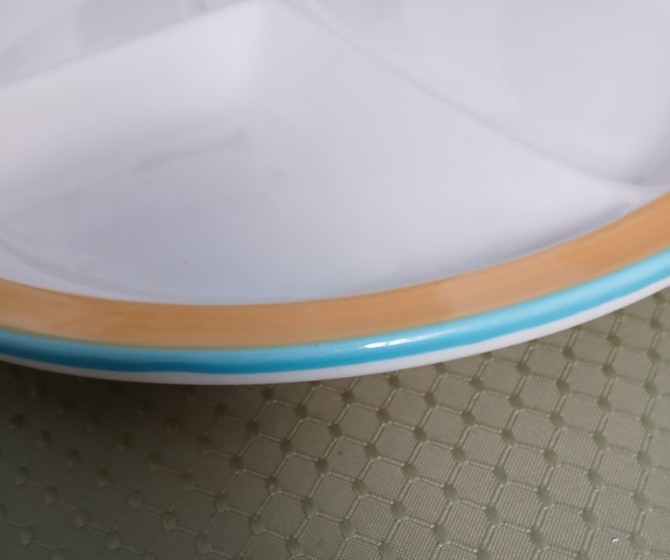 Ceramic Divided Dinner Plates (2) Hand Painted, Landex Casual -10.5 ...