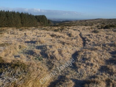 Photo 6x4 Chagford Common Frenchbeer This area of the eastern Dartmoor ...
