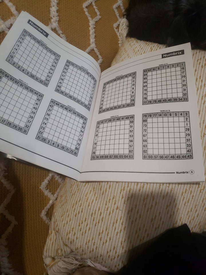 Parade Numbrix Challenging Puxxles From Beginning To Expert Magazine | eBay