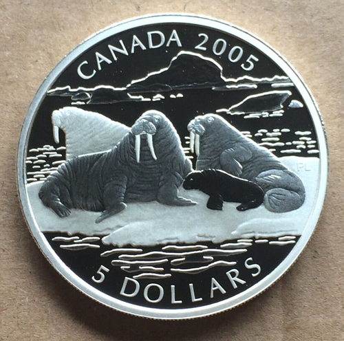 2005 $5 Canadian Wildlife: Atlantic Walrus and Calf - Pure Silver Coin ...