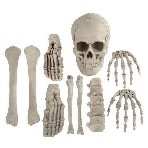 Skeleton Bones Set 10 Piece Halloween Graveyard Decoration Plastic ...