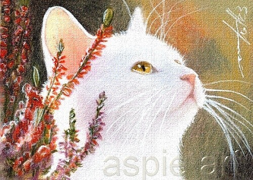 ACEO print limited edition ATC white cat with flowers by Anna Hoff | eBay