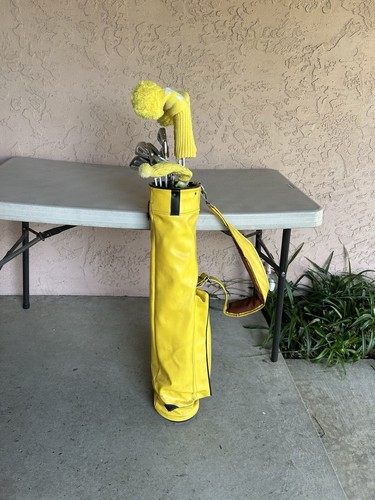 Wilson Vintage Patty Berg Cup Defender Full Set Rare | eBay