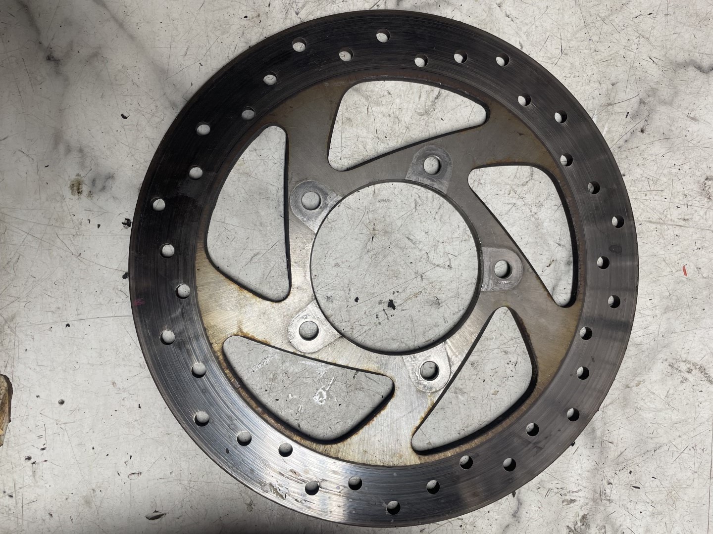 06 Harley Davidson V-Rod Street Rod VRSCR rear back brake rotor disk | eBay