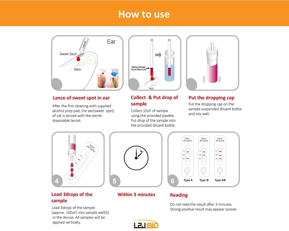 [L2J BIO] Feline AB Blood Typing Rapid Kit, Health Test Kit for Pet ...