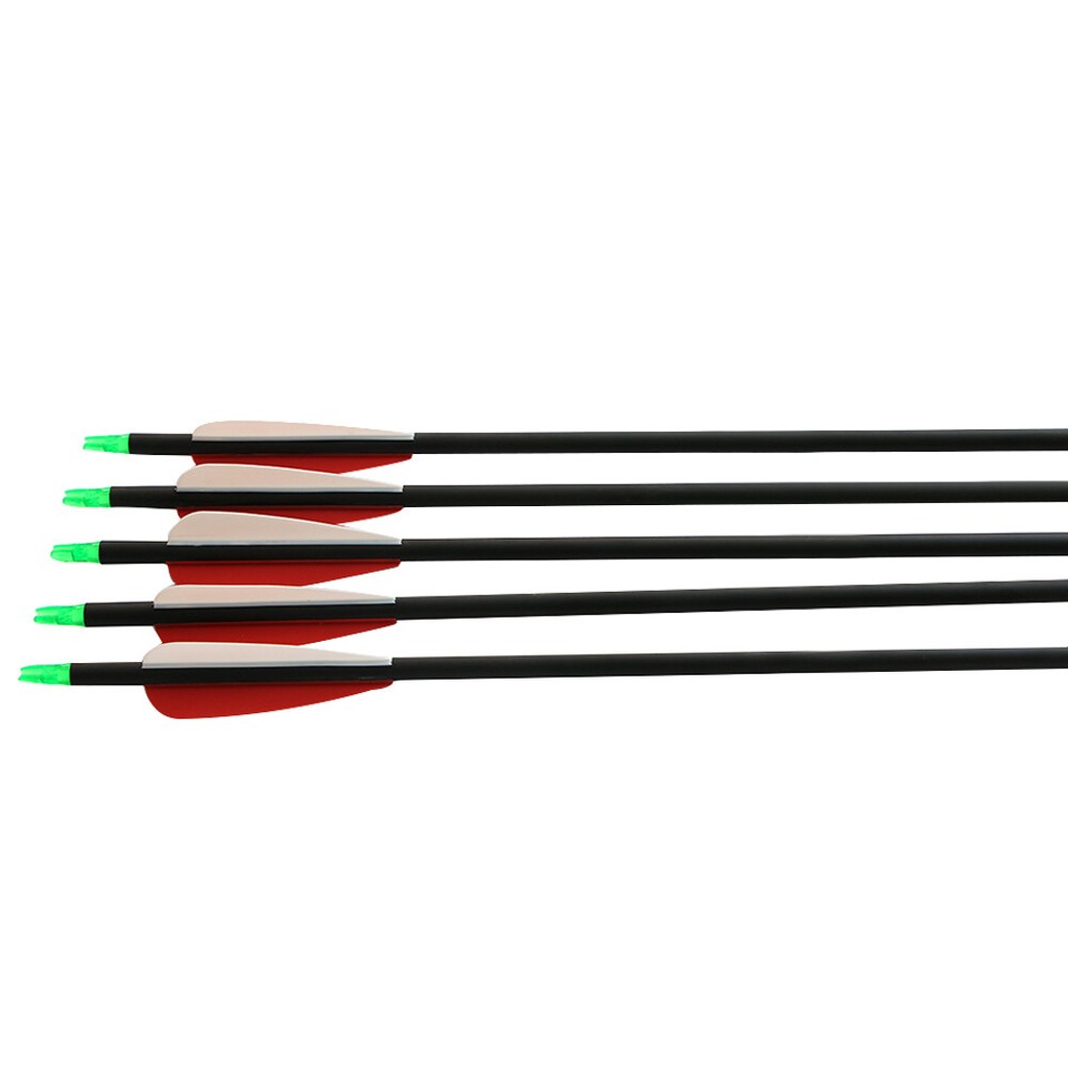 Archery 30" Carbon Arrows Practice & Hunting Arrowheads for Compound ...