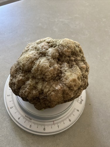 5 To 7lb Whole GEODES AGATES NODULES Lapidary Uncut Semi to Solid ...