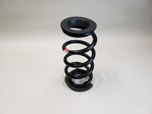 2017 2018 Tesla Model 3 Rear Left / Right Strut Coil Spring for RWD ...