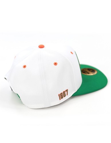 Florida A&M University FAMU Snapback Hat-White/Green-New! | eBay