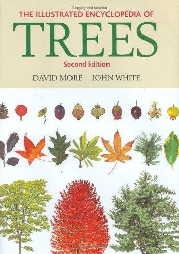 Illustrated Encyclopedia of Trees by John White Jr. (2011, Hardcover ...