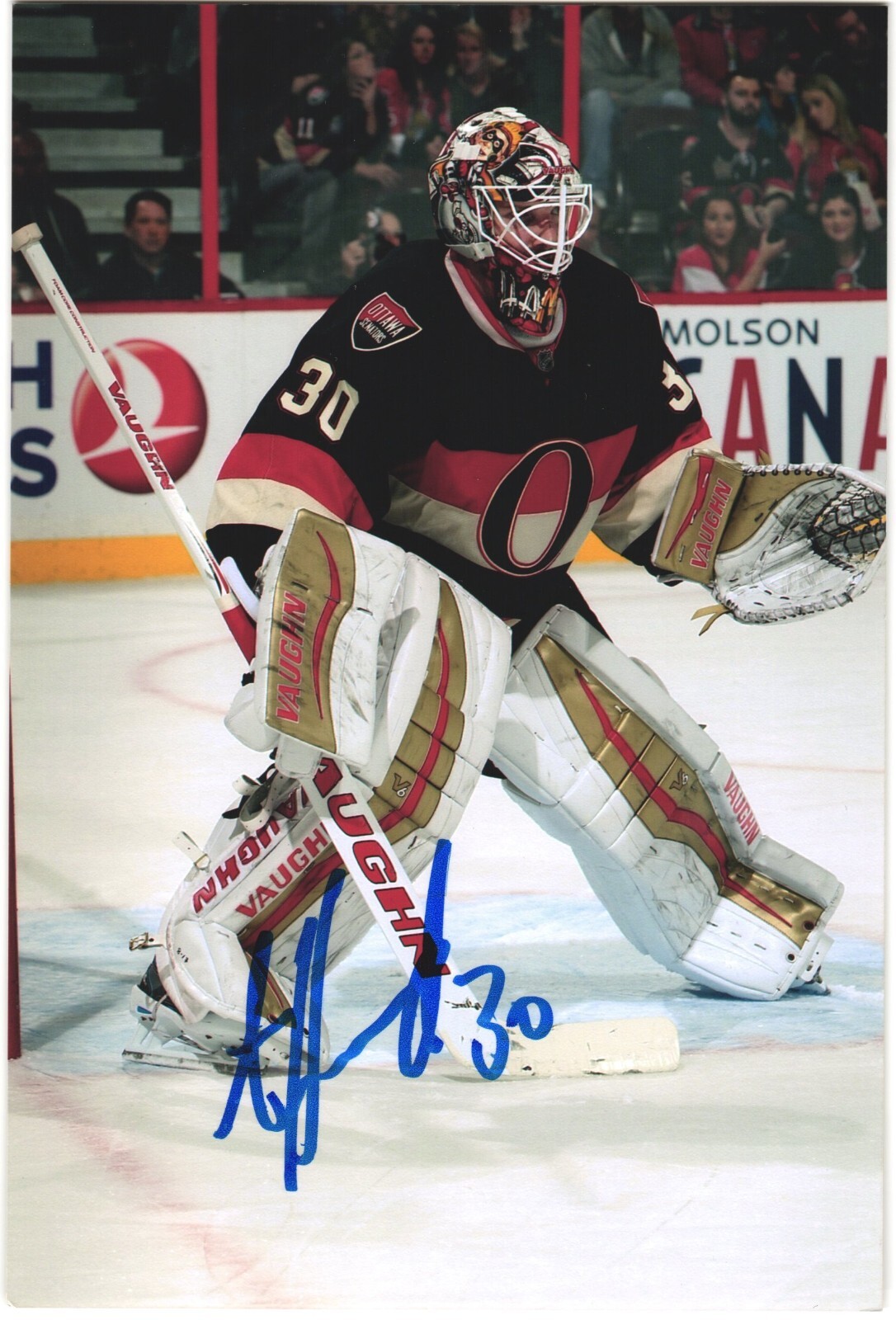 Andrew Hammond Autographed 4x6 Color Photo Ottawa Senators Goalie #30 ...