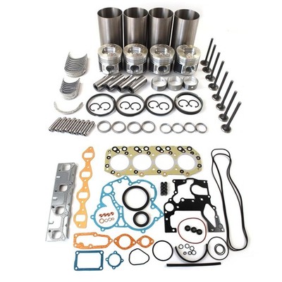 All-new PANGOLIN D201 Engine Rebuild Kit For Isuzu D201 2.2DI Engine ...