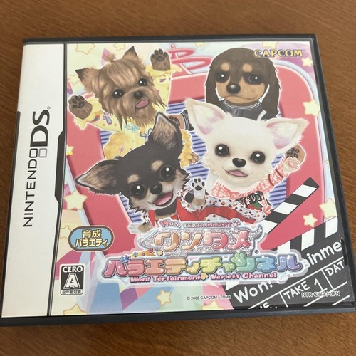Capcom Nintendo DS Game One-Tame Variety Channel Used caution | eBay