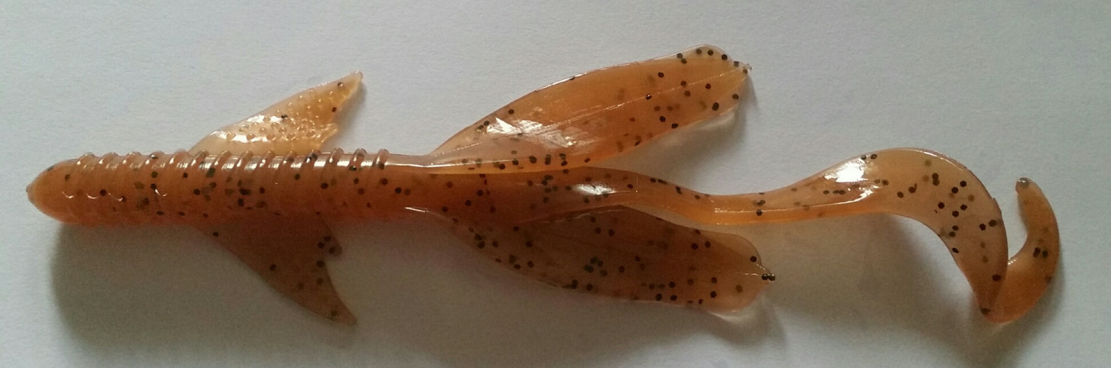 Gambler Bacon Rind 8pk - Pumpkin Seed | eBay