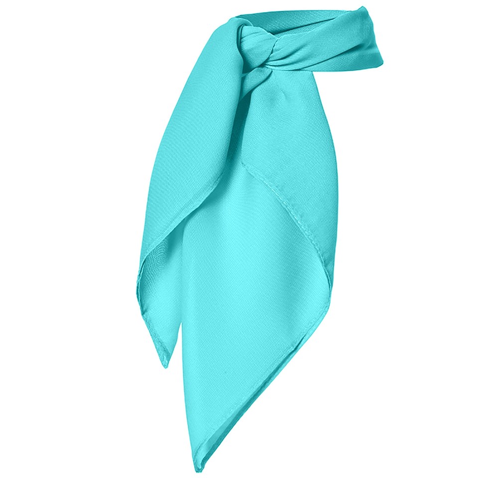 Women Sheer Chiffon Neck Scarf 20 inch and 23 inch Vintage Style ...