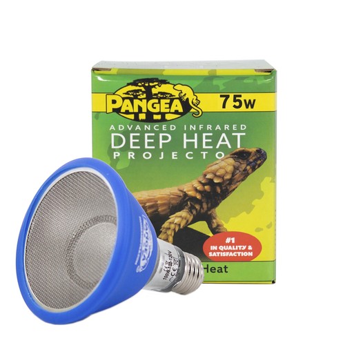 Pangea Deep Heat Projector for Reptiles (75 Watt) 850005832584 | eBay