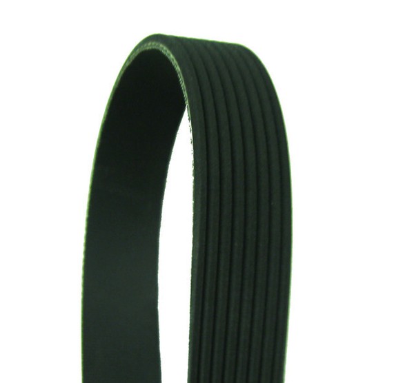 Serpentine Belt-DIESEL Cadna 1223K8 for sale online | eBay