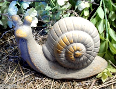 Latex snail mold with plastic backup plaster concrete casting 6.75" x 3 ...