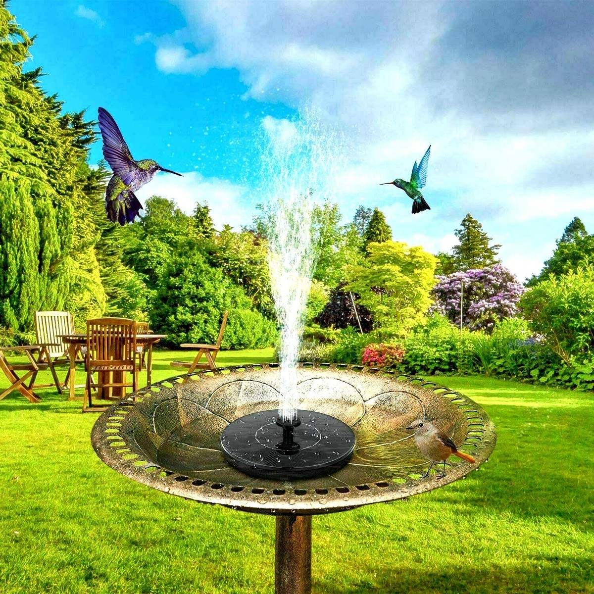 Solar Powered Bird Bath DARTWOOD Solar Bird Bath And Water Fountain