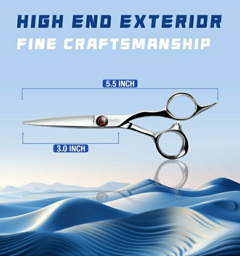 SWAP Professional Hair Cutting Scissors/Shears - SUS 440C (S2, 5.5 ...