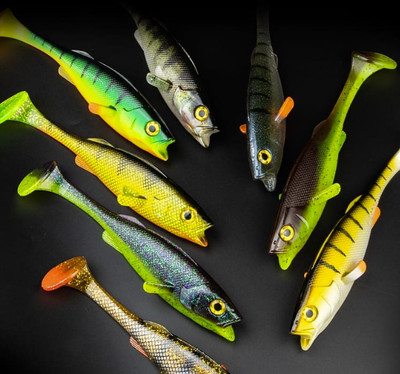 Taxidermy - Real Skin Mount