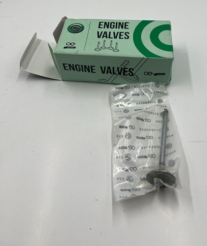 BOX OF 8 Evergreen Genuine Engine Valve IV5005 Gray | eBay