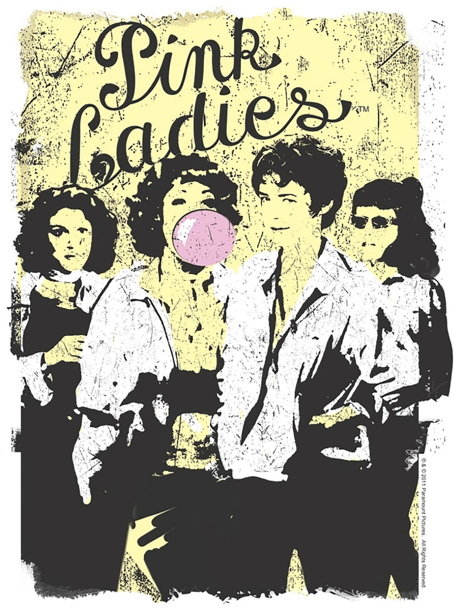 Pink Ladies Iron On Transfer