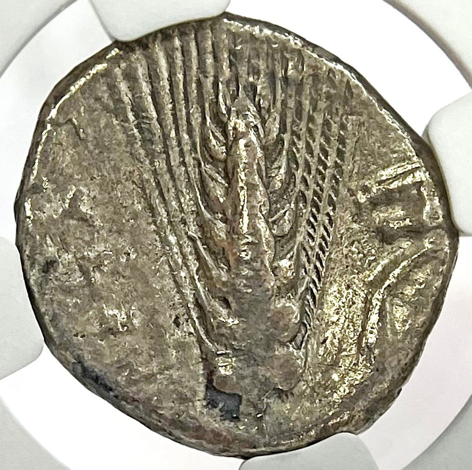 340 - 330 BC SILVER LUCANIA, METAPONTUM LEUCIPPUS STATER COIN NGC ...