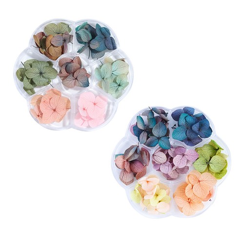 Pressed Flower Nail Sticker Stickers Flowers Fall Leaf Dried for Nails ...