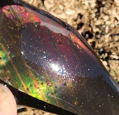 High Grade FIRE OBSIDIAN From Glass Butte, Oregon. RARE - Not Polished ...