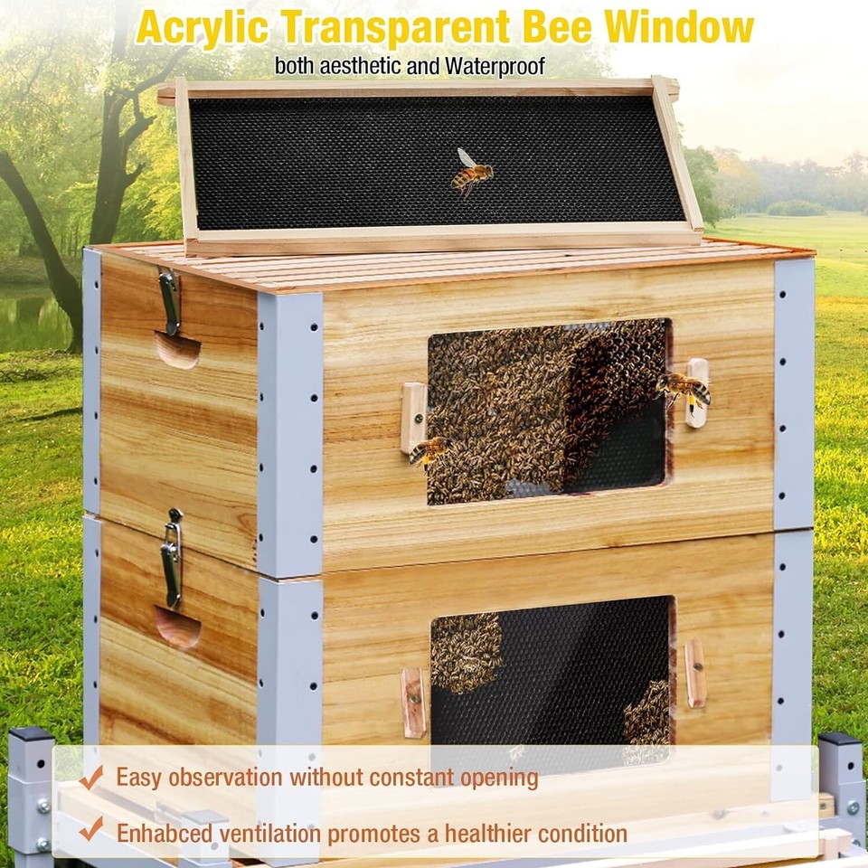 Aivituvin Bee Hive Box 10 Frame Bee Castle Coated Beekeeping Supplies ...