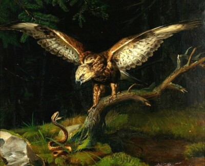 Art Print: Niels Peter Rasmussen, A Buzzard Attacks an Adder | eBay