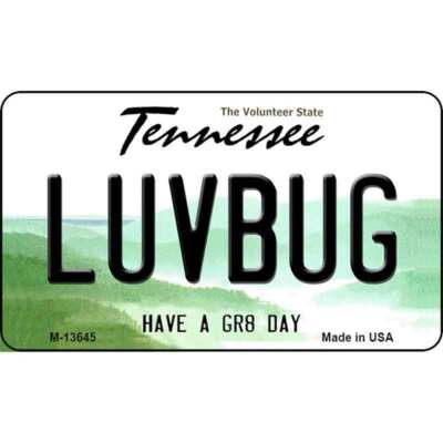 Love Bug Novelty Metal Magnet M-13645 | eBay