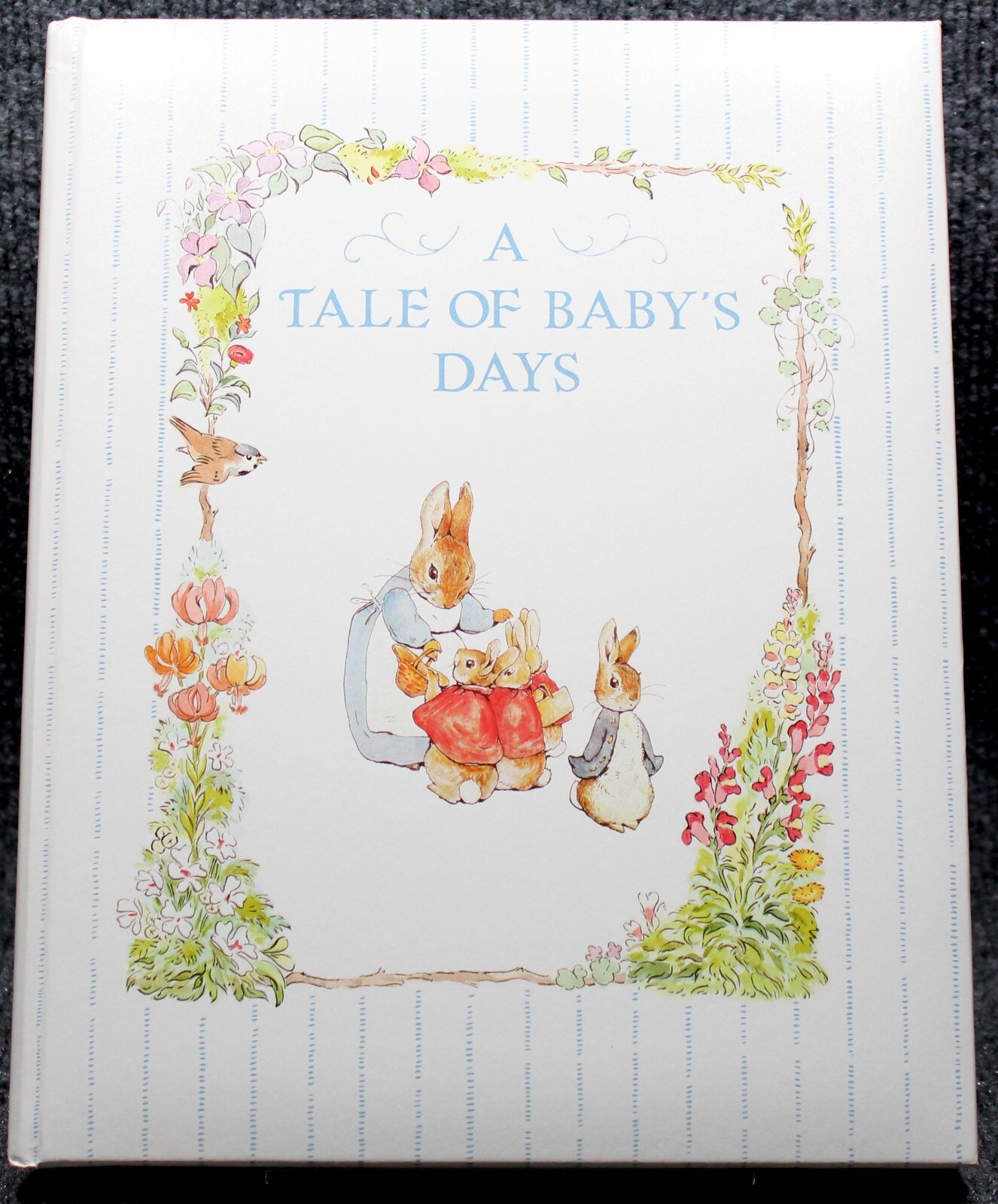 Beatrix Potter A Tale of Baby's Days Memory Book Peter Rabbit C.R ...