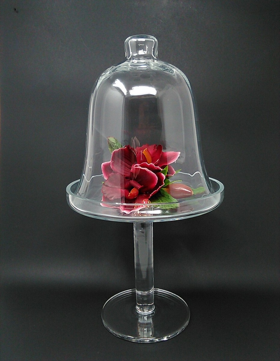 Mini Glass Bell Jar With Fluted Base Amazon.com: SUNNYCLUE Glass Bell
