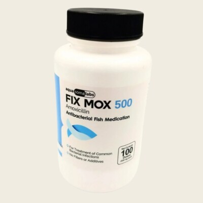 FOR FISH Aquariums & FISH Tanks Fix AMoxil 500mg/200 CT | eBay