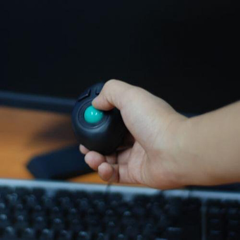 Portable Finger Handheld 4D USB Powered Mini Trackball Mouse (Black) | eBay