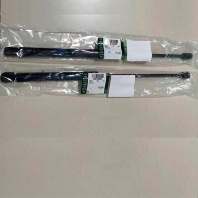 2003-2012 LAND ROVER Range Tail Door Gate Lift Shock Strut Pair (2x ...